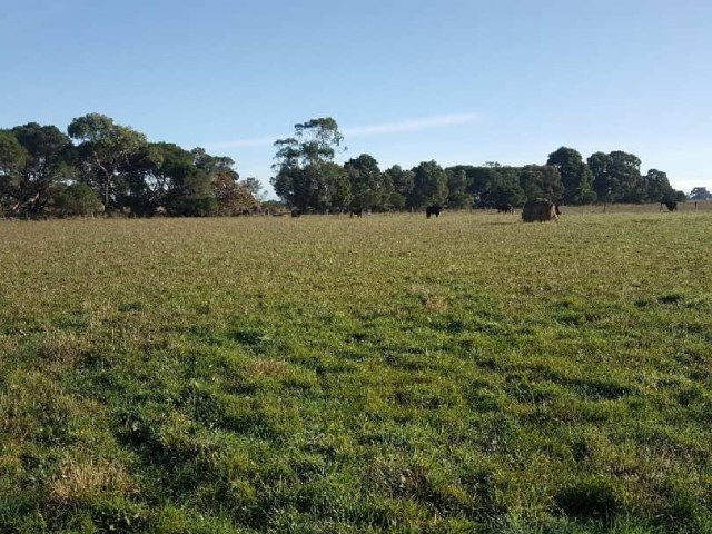 Farm to rent - for Rent | Gumtree Australia