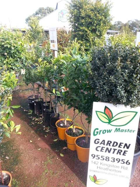 Citrus trees. Prices start at $34.90. Many varieties! - Plants in ...