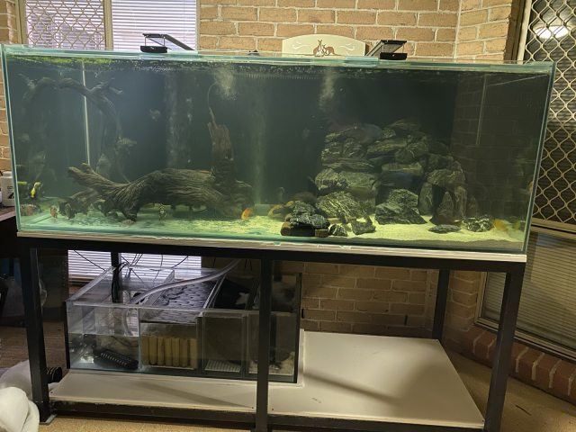 Large wide, long, deep Fish tank 7x3x2.5 with everything | Pet Products ...