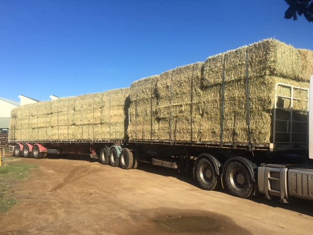 Wheaten Hay - Jumbo Bales (flt) - Miscellaneous Goods in Tamworth NSW ...