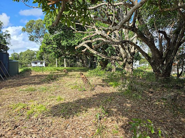 45 Bayswater Road, Russell Island, Queensland 4184 - Land for Sale ...