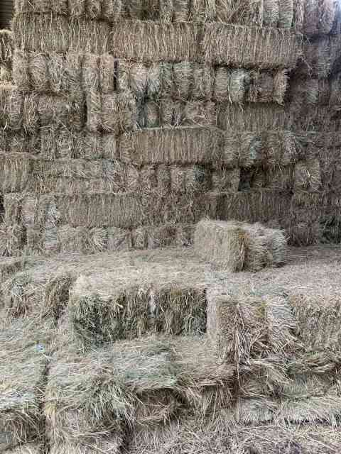 Small square hay bales | Pet Products | Gumtree Australia Corangamite ...