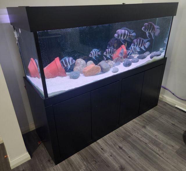 6ft Aquarium Fish Tank | Pet Products | Gumtree Australia Liverpool ...