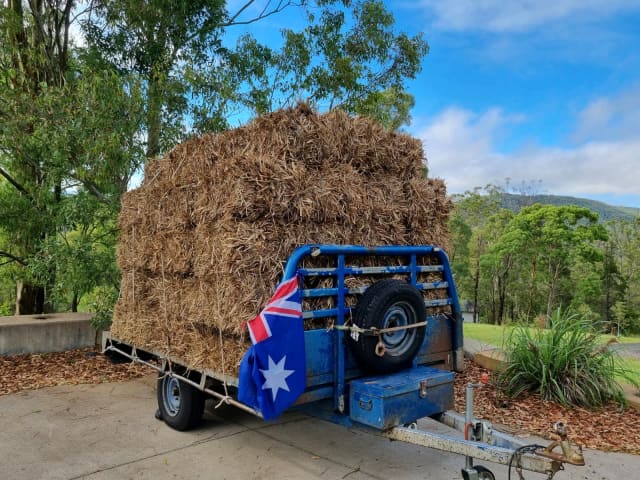 Sugar cane mulch hay bales | Landscaping & Gardening | Gumtree ...