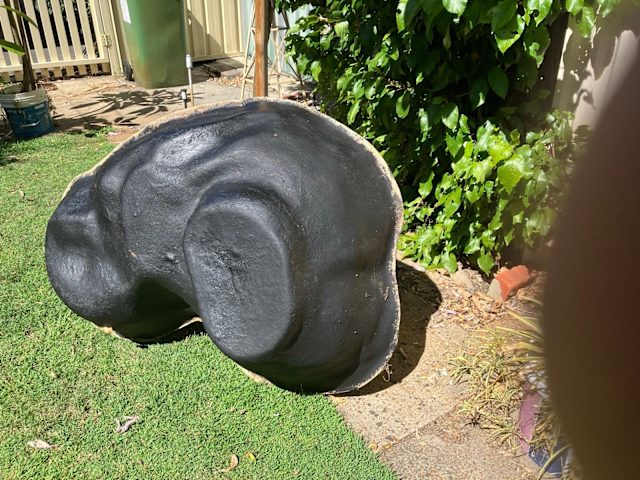 Fish pond shell - Other Garden in Ballajura WA | Gumtree Australia
