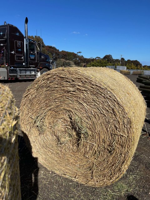Oaten Hay Round Bales | Pet Products | Gumtree Australia Melton Area ...