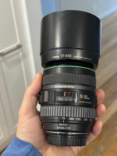Canon Zoom Lens EF 70-300mm f/4.5-5.6 DO IS USM telephoto lens canon ...