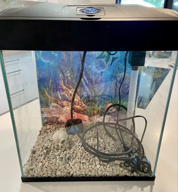 Blue Planet Fish Tank - built in filter/light in lid | Pet Products ...