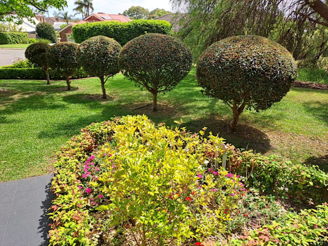 Lawn and garden maintenance | Landscaping & Gardening | Gumtree ...