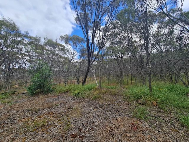 wanted 3 acres for 18k - Land for Sale | Gumtree Australia