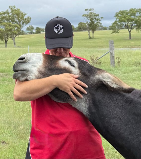 Donkey Experience Hands on Training | Training | Gumtree Australia ...