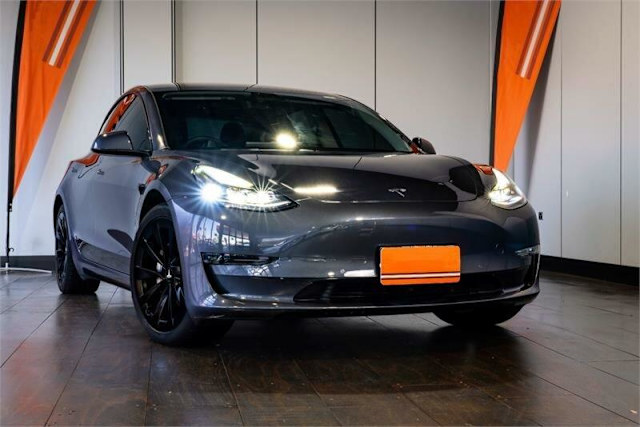 2021 Tesla Model 3 MY21 Long Range AWD Grey 1 Speed Reduction Gear ...