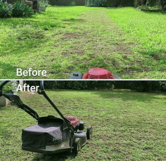 Gumtree lawn mowing store