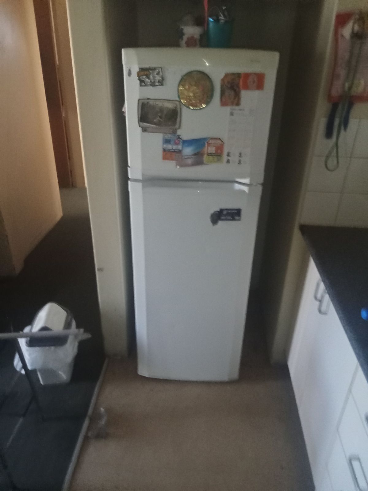 MUST SELL ASAP 263L Beko Refrigerator with Fridge + Freezer - Fridges ...