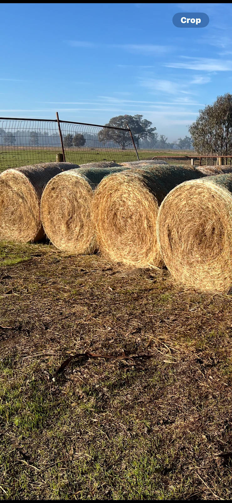 Hay bales 4x4 - Miscellaneous Goods in Craigieburn VIC | Gumtree Australia