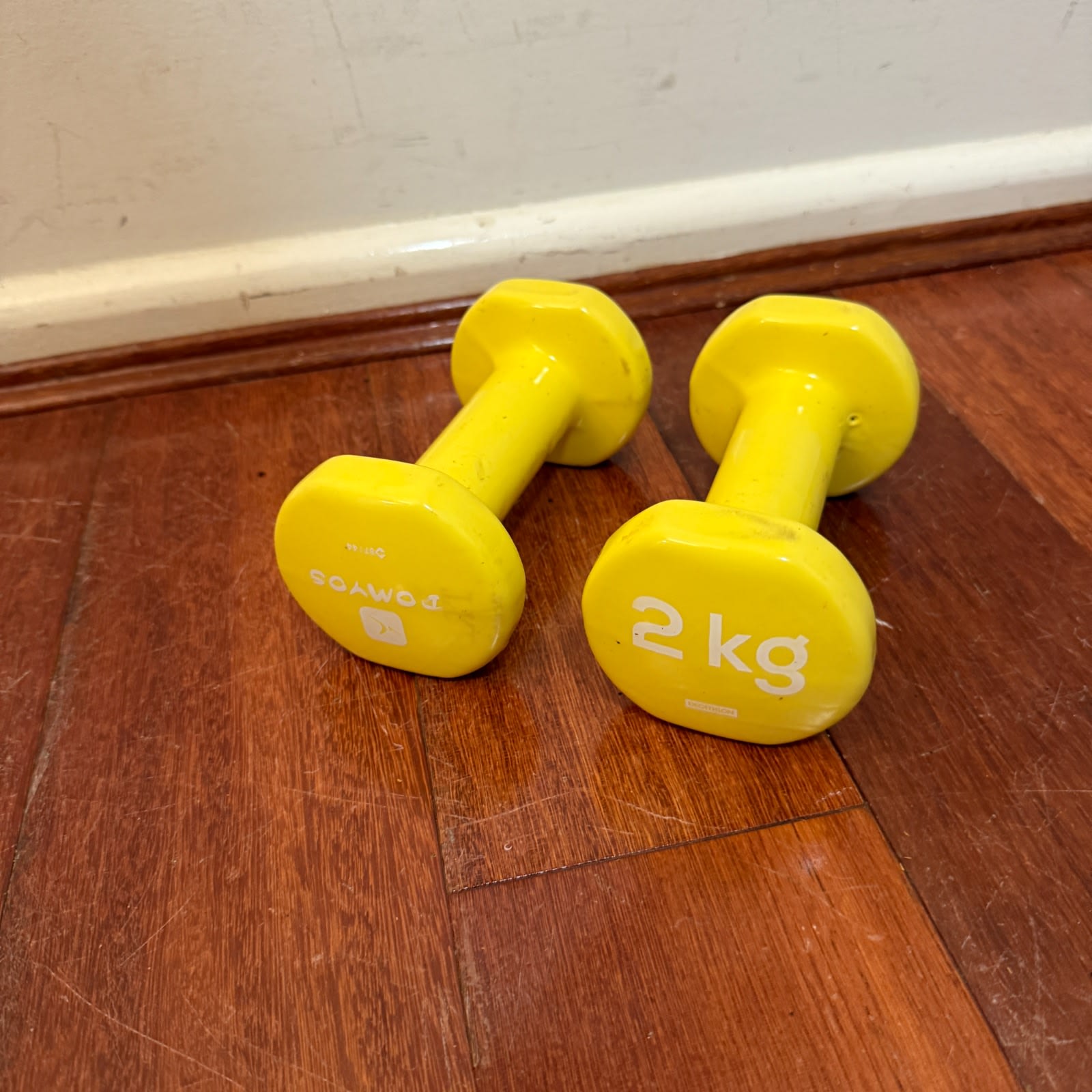 2KG DUMBBELLS PAIR PVC HAND WEIGHTS GYM FITNESS EXERCISE - Gym ...