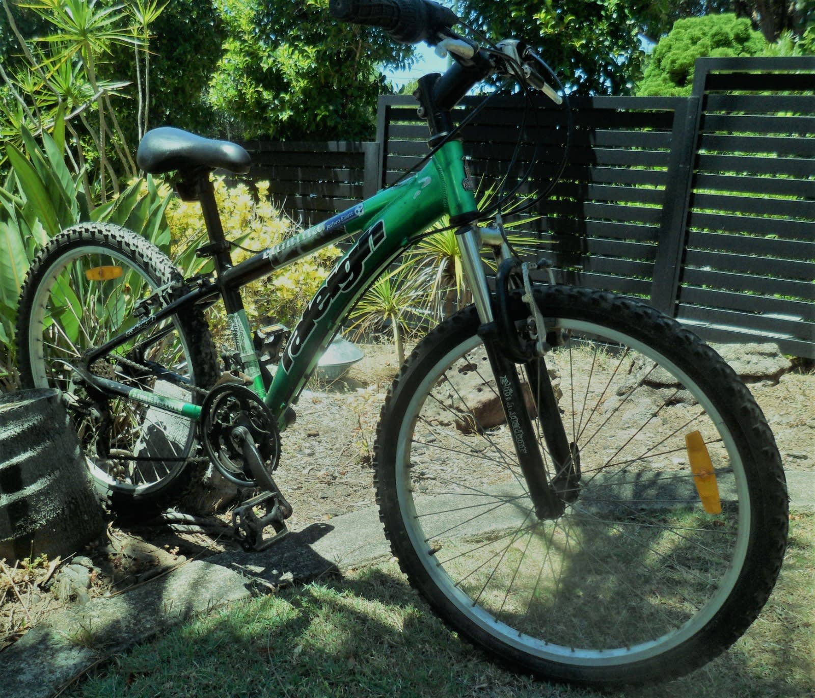 Raleigh Eliminator 24 inch wheel 18 speed aluminum mountain bike - Men ...