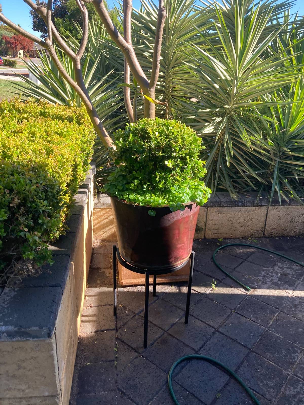 Japanese Box in Metters Copper