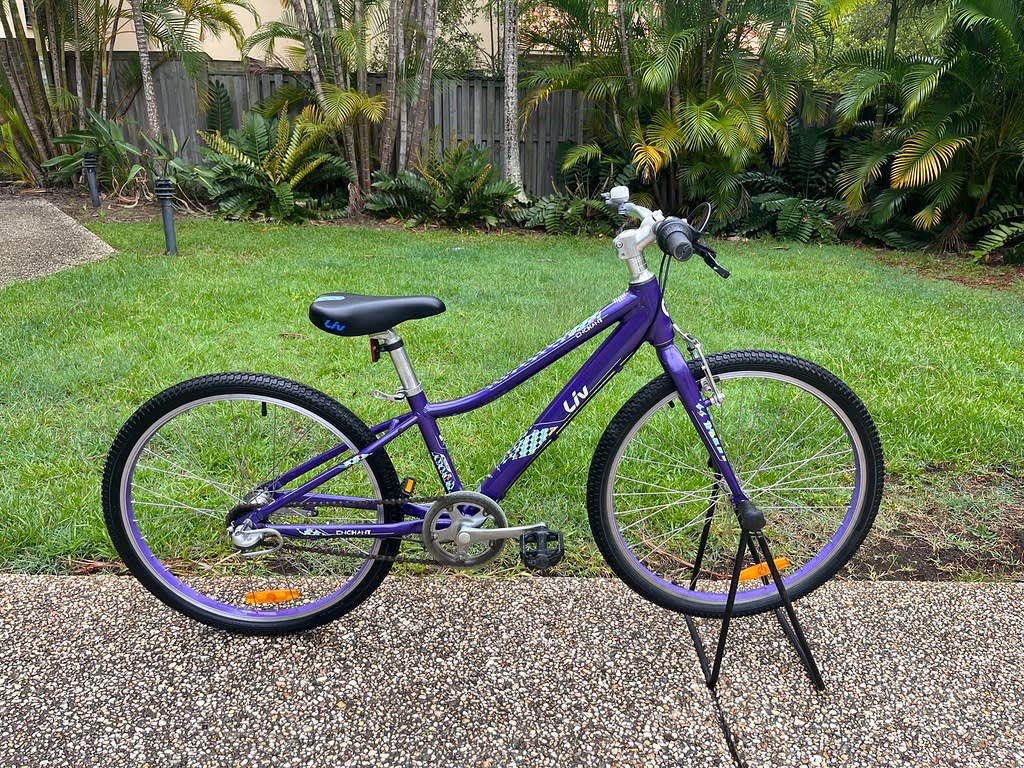 Giant Enchant bike $215 (Negotiable) - Kid's Bicycles in Varsity Lakes QLD | Gumtree Australia