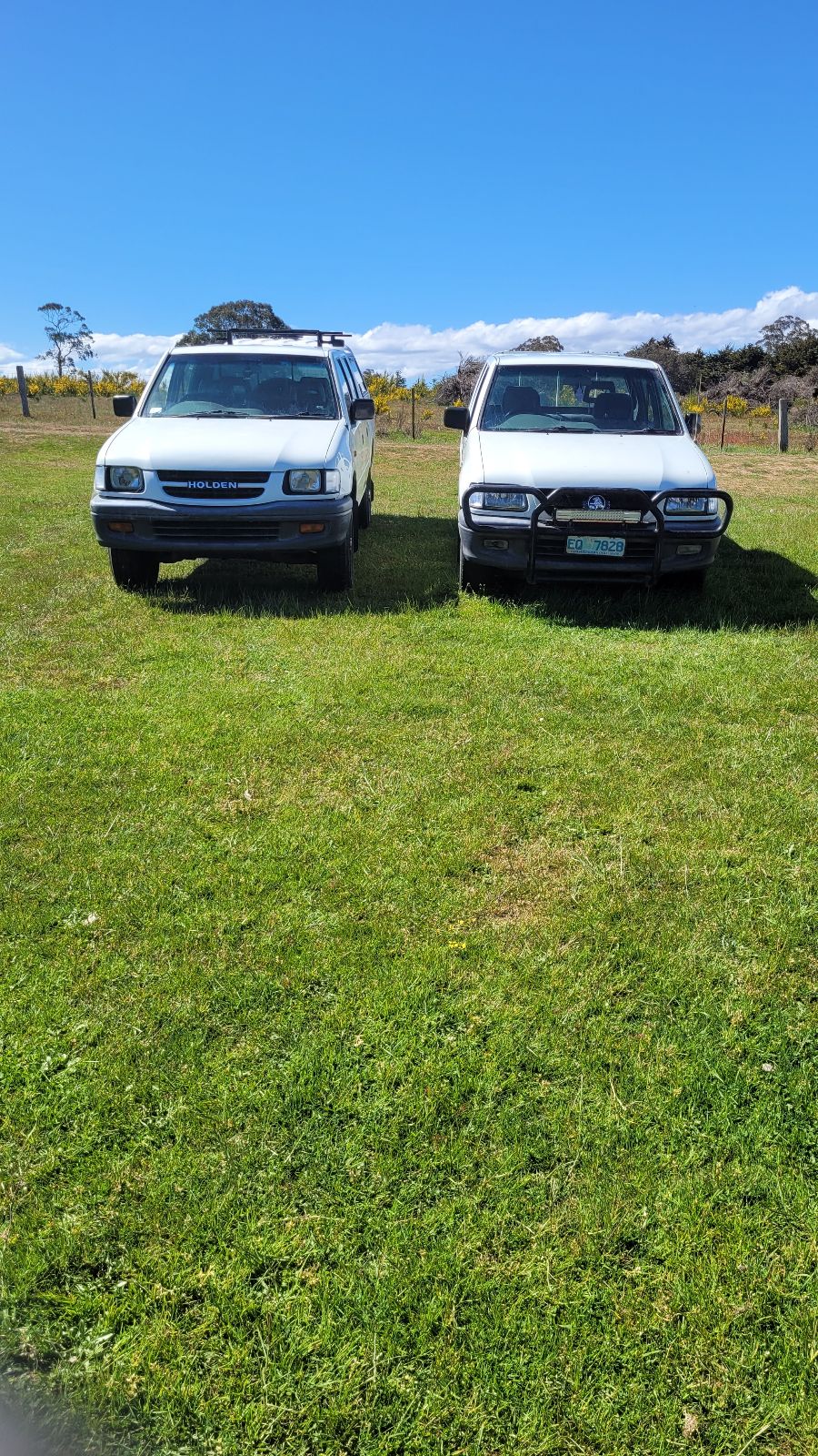 2002 HOLDEN RODEO LX 5 SP MANUAL CREW CAB P/UP | Cars, Vans & Utes ...