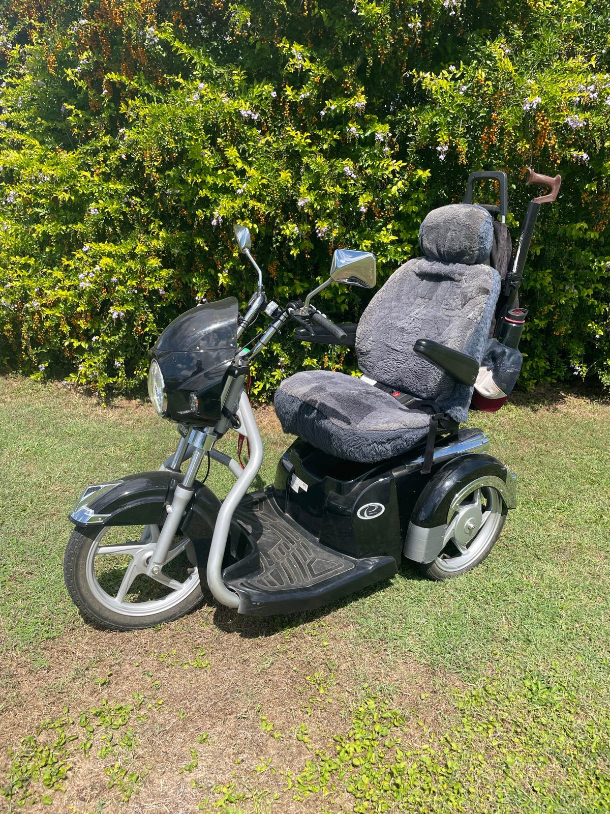 Easy Rider Mobility Scooter