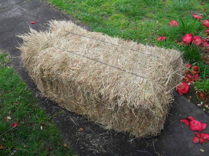 Hay Bales and Hay Bags - Miscellaneous Goods in Ringwood VIC | Gumtree ...