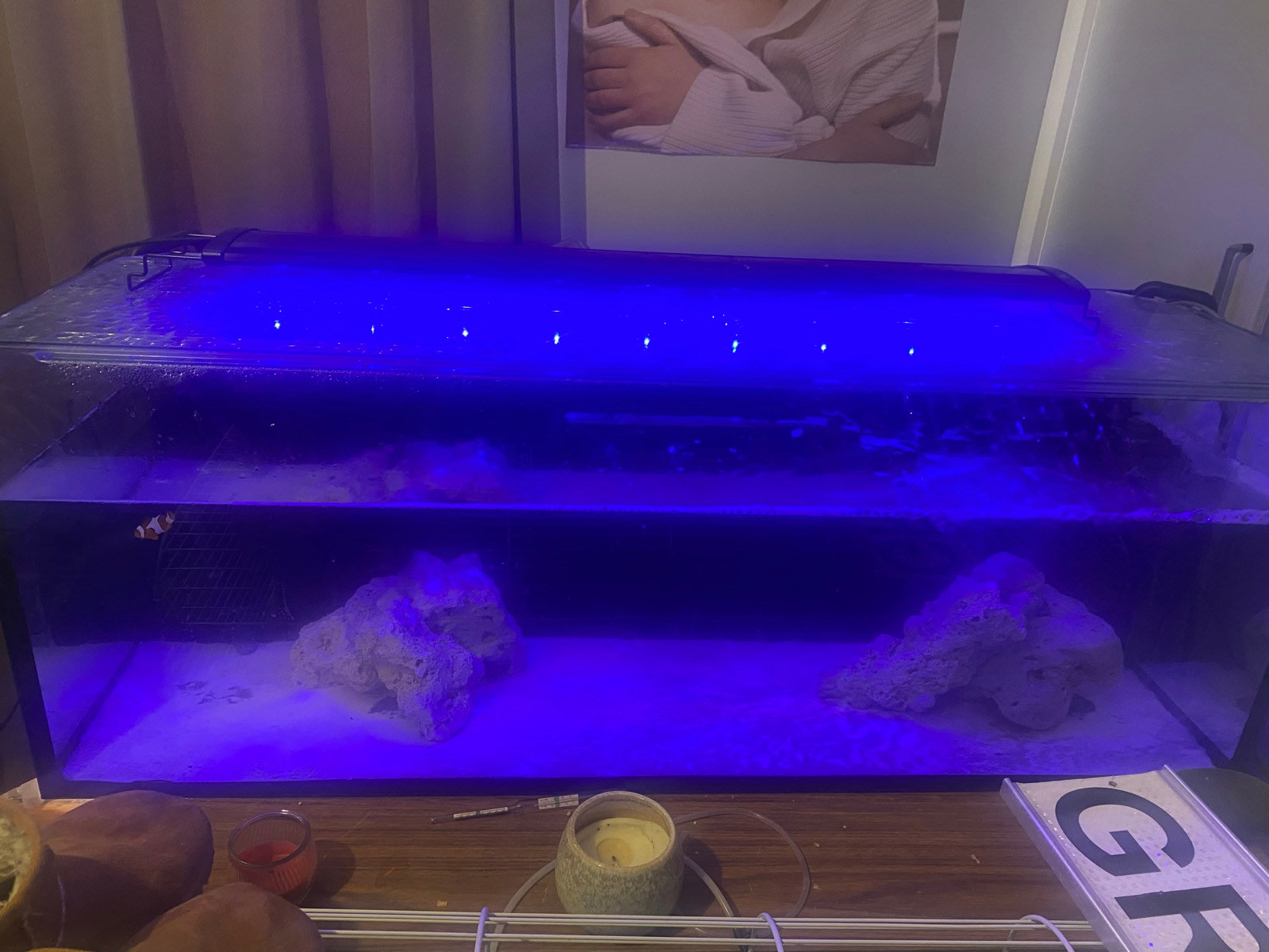 4ft Fish Tank Cover 🥗 4ft Fish Tank Phone Case 4ft Fish Aqua Reef