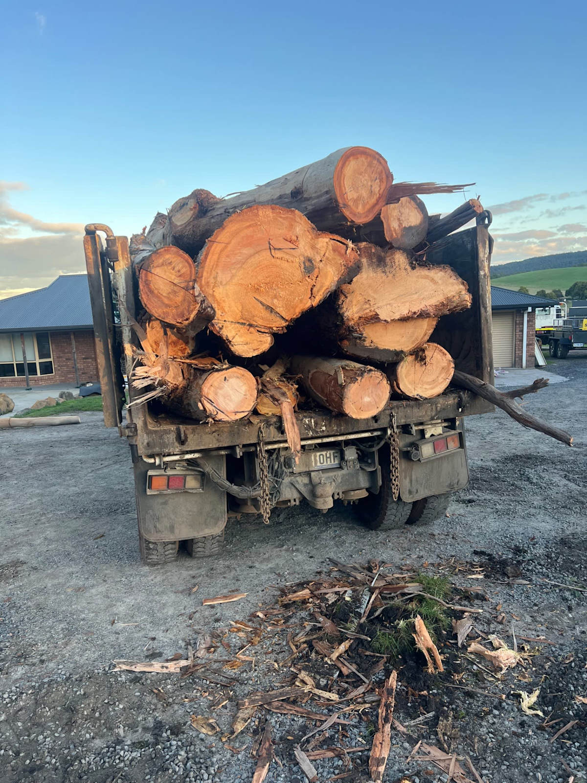 Load of fire wood logs $800 delivered - Miscellaneous Goods in ...