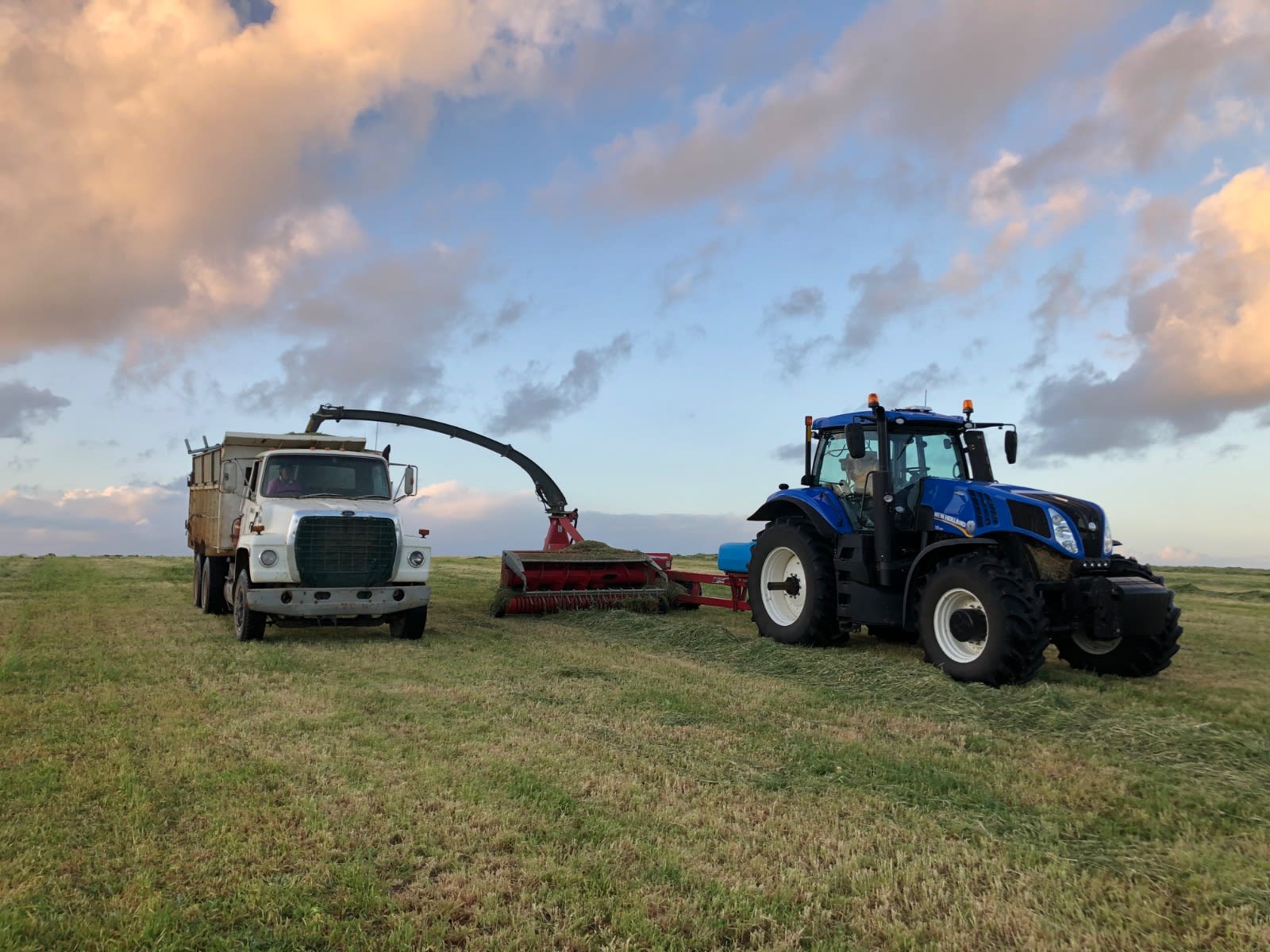 Farm Workers wanted for (Immediate Start) | Other | Gumtree Australia ...