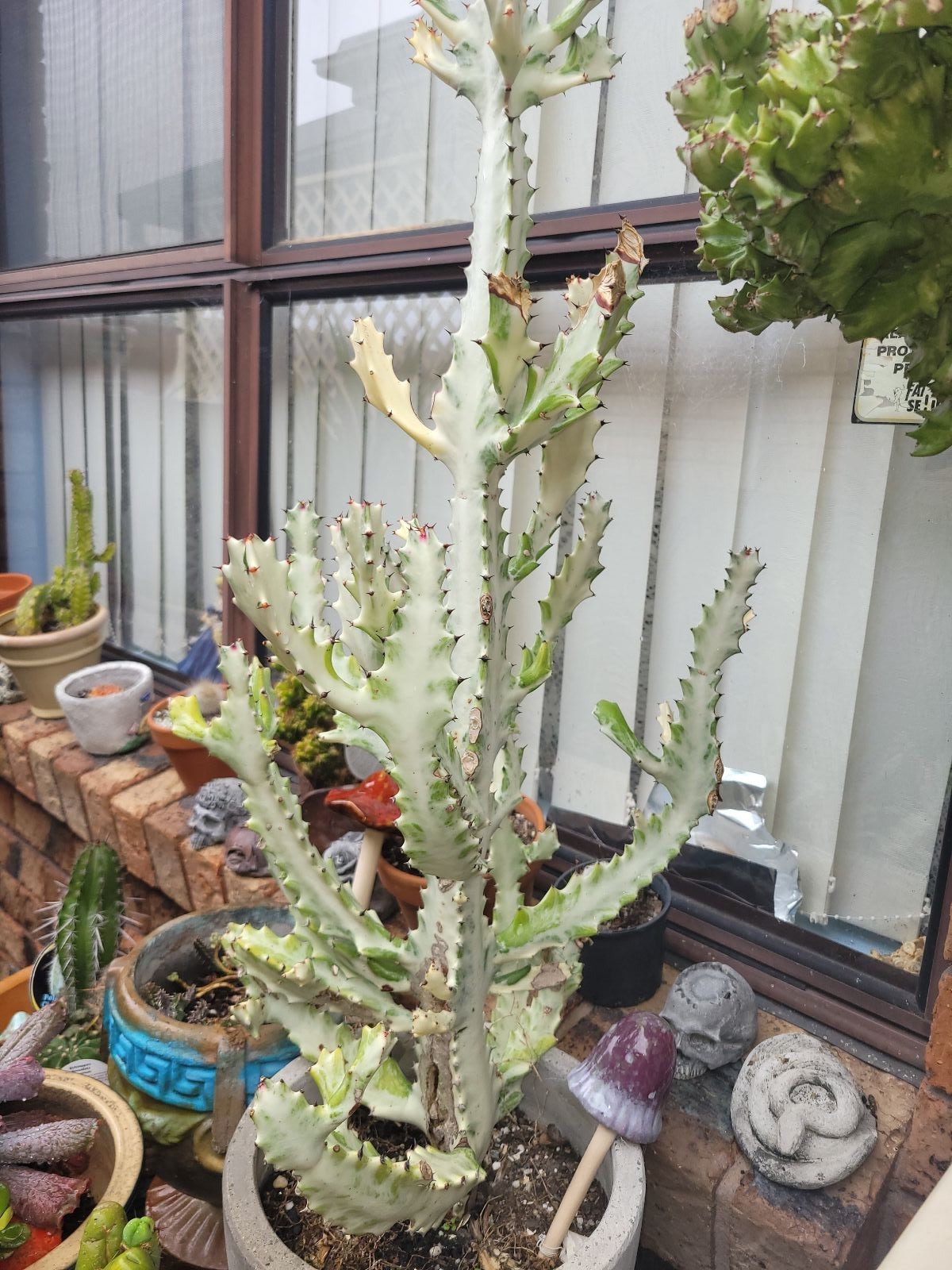 open now, bring a Ute or box, everything half price. plus freebies ...