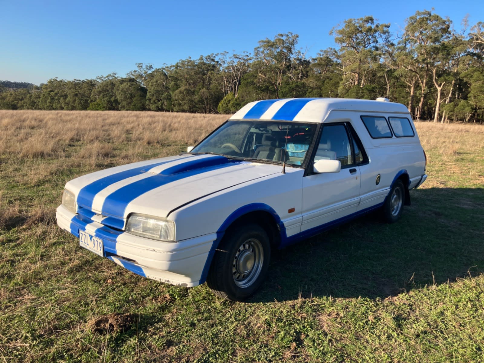 1995 XG Panel Van | Cars, Vans & Utes | Gumtree Australia Colac-Otway ...