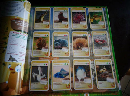 Aussie Animal Cards Album Woolworths