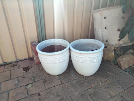 Large Glazed Garden Pots Perth | Fasci Garden
